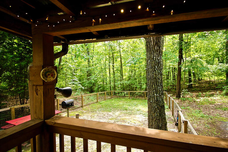 Pet-Friendly Cabin w/ Fenced Yard | Hapey Cabin Rentals