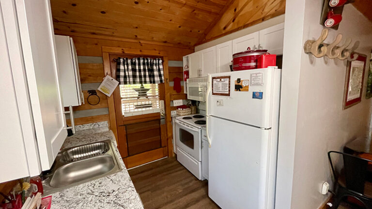 Pet-Friendly Cabin w/ Fenced Yard | Hapey Cabin Rentals