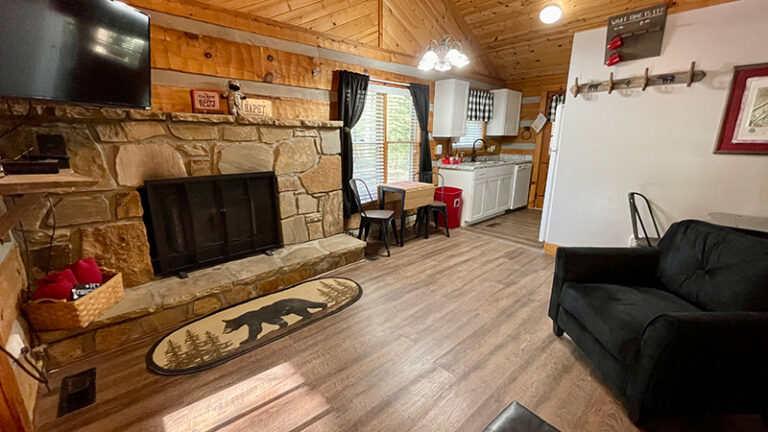 Pet-Friendly Cabin w/ Fenced Yard | Hapey Cabin Rentals