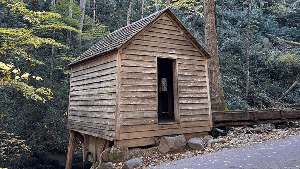 Roaring Fork Motor Nature Trail Guide | Hapey Cabin Rentals